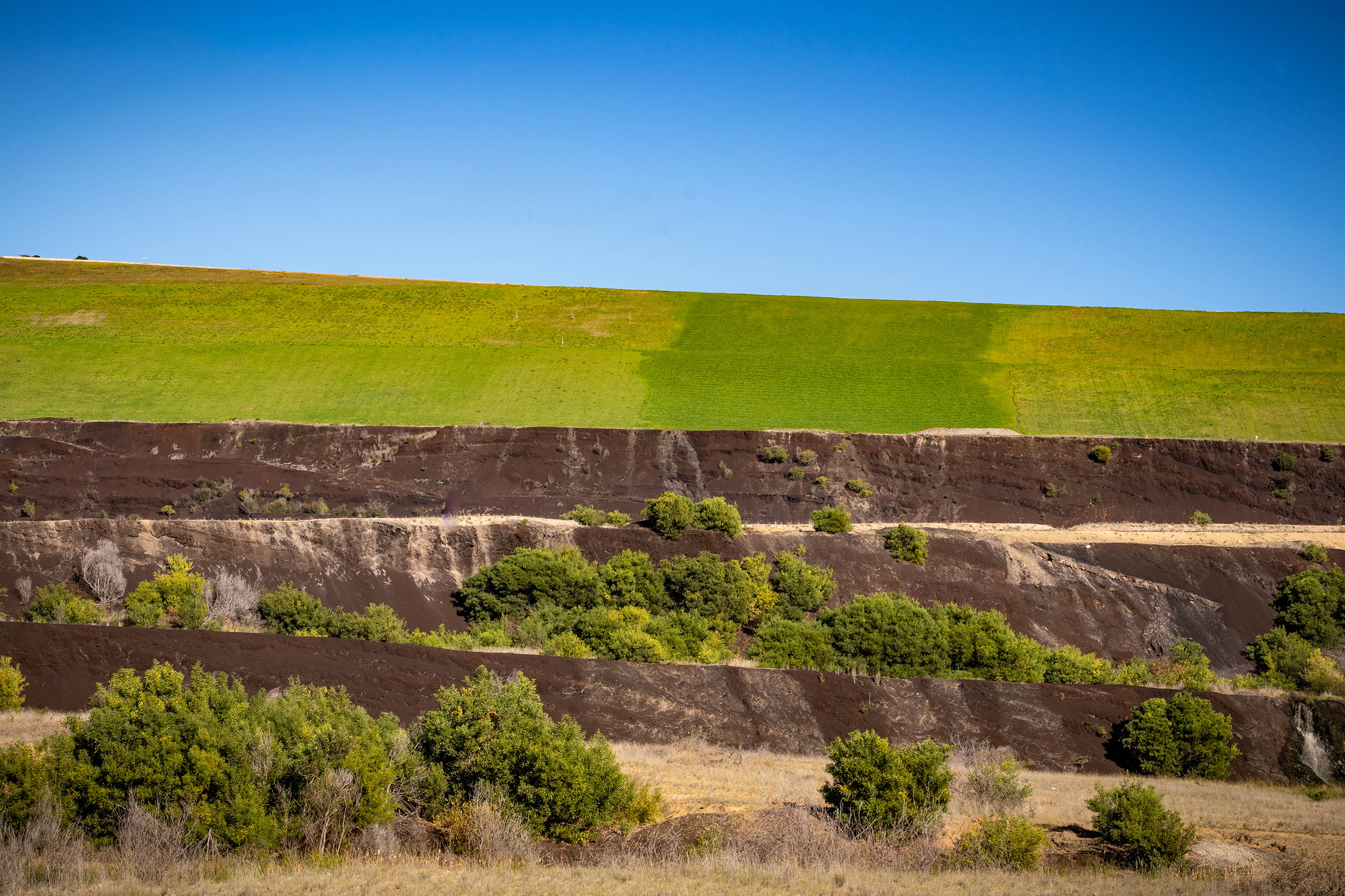 Loy Yang – Rehabilitation – RTL Mining and Earthworks